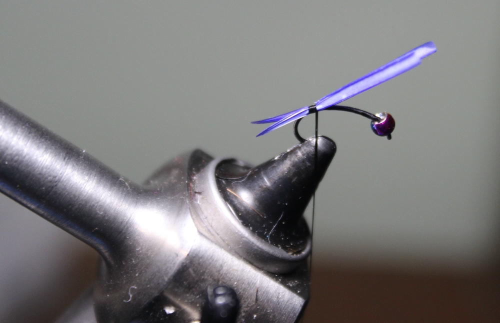 Fly Tying Tutorial: Curved Cotton Candy Copper John - blog.fishwest.com