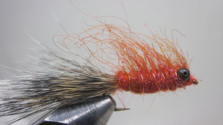 Fly Tying Tutorial Perdigon Nymphs Blog Fishwest
