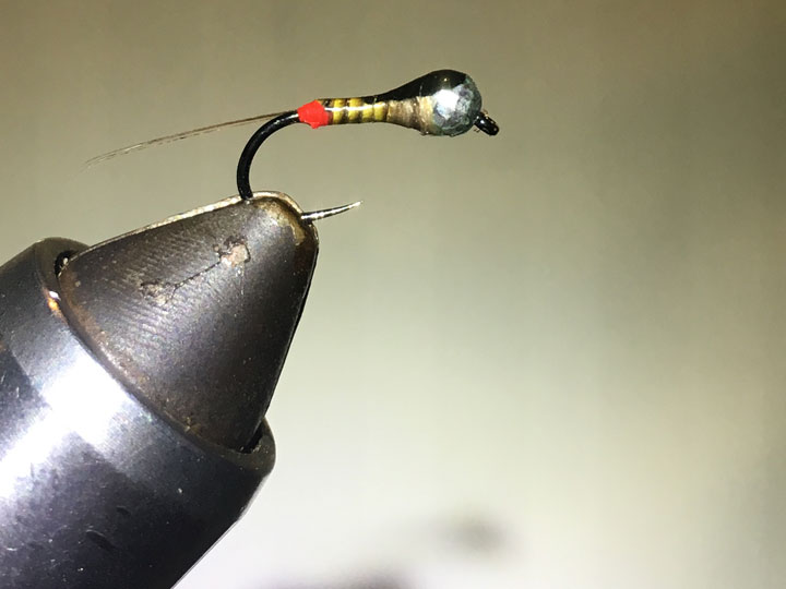 Fly Tying Tutorial Perdigon Nymphs Blog Fishwest