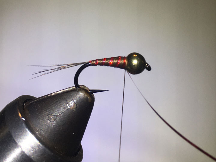 Fly Tying Tutorial Perdigon Nymphs Blog Fishwest