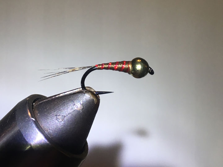 Fly Tying Tutorial Perdigon Nymphs Blog Fishwest