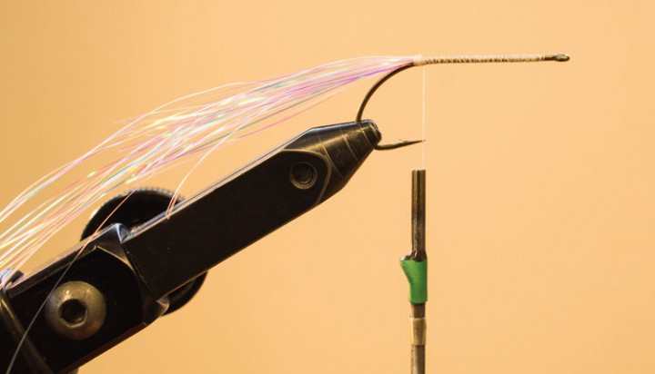 Fly Tying Tutorial Nameless Bulltrout Streamer Blog Fishwest