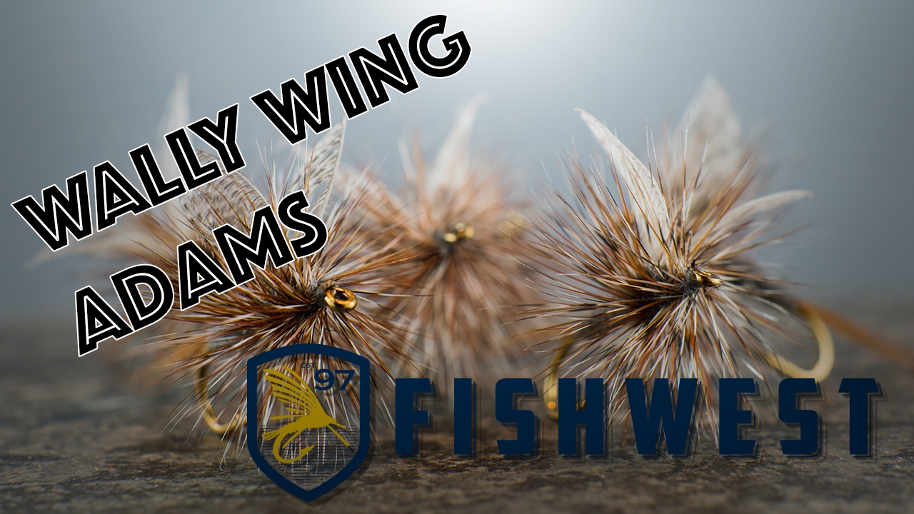 Tying Tutorial Follow Up Wally Wing Video Blog Fishwest