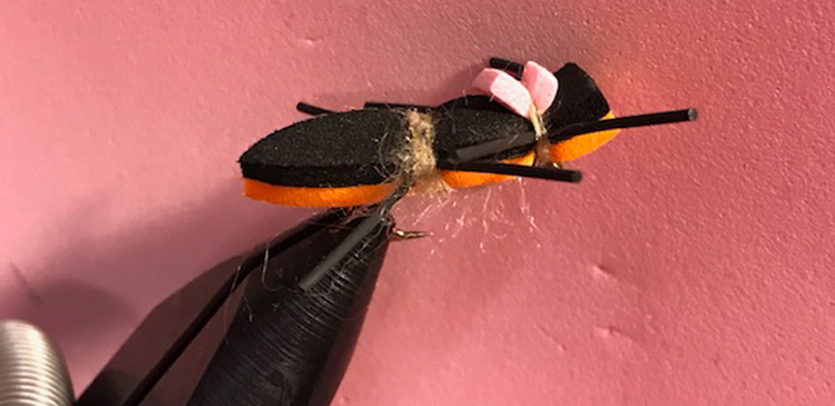 Fly Tying Tutorial Perdigon Nymphs Blog Fishwest