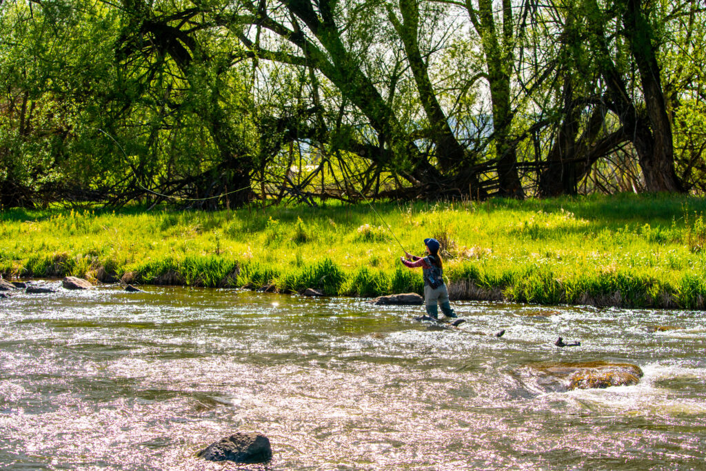 Jeff Faulkner Presents: What Is Fly Rod Action? - blog.fishwest.com